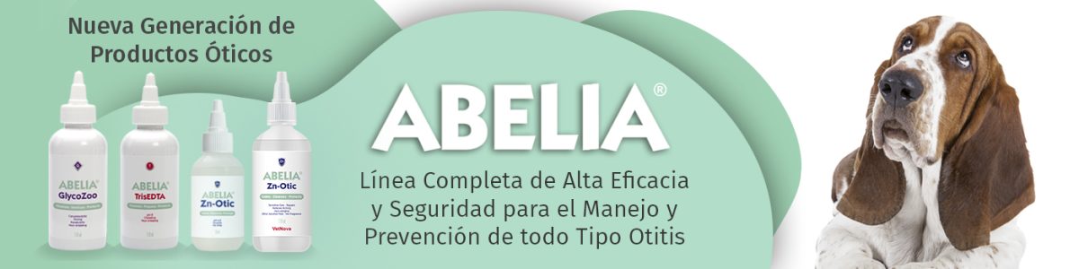 Inicio - VetNova