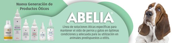 Inicio - VetNova